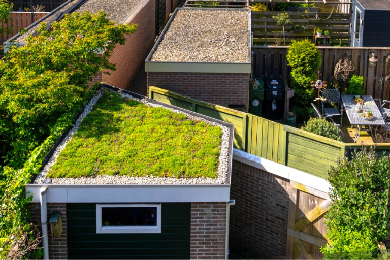 De leukste plaatjes van groene daken in 2022! - SedumSpecialist