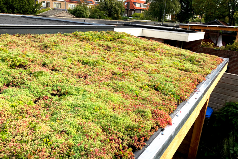 De leukste plaatjes van groene daken in 2022! - SedumSpecialist